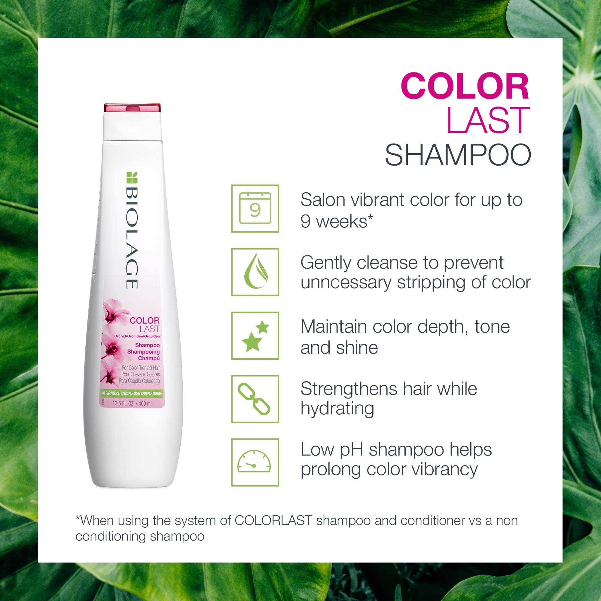 BIOLAGE Colorlast Shampoo For Color-Treated Hair – hairbyash.com.au